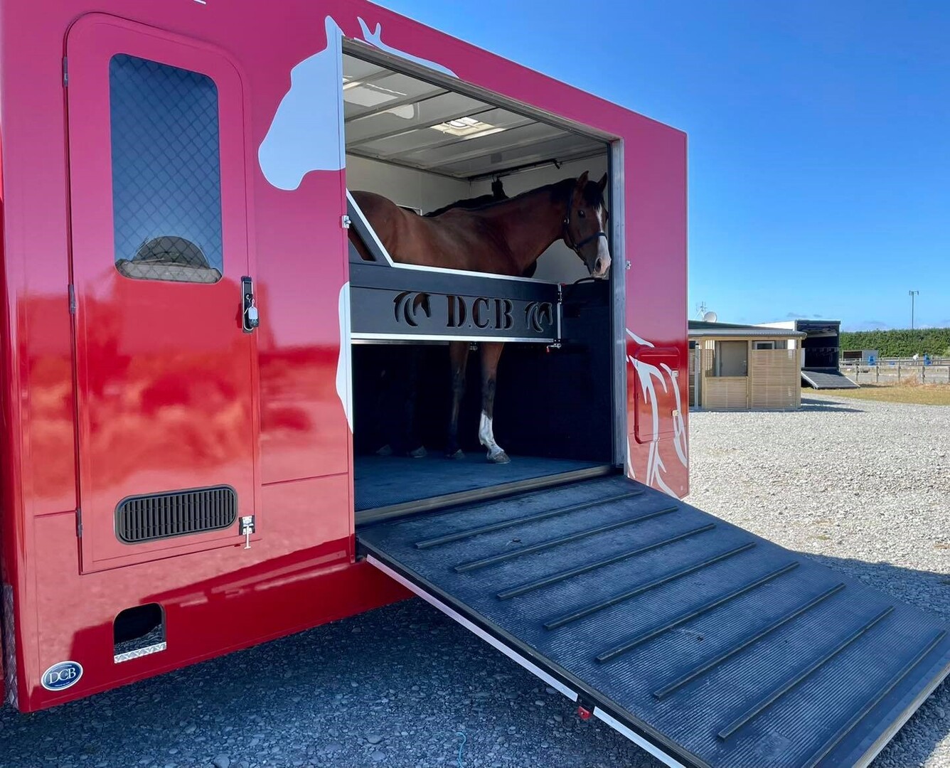 About | The Design Coach & Body Company Ltd